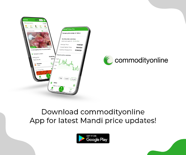 Pigs market price Today (21 December 2025)