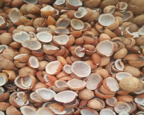 A Grade Quality Copra required in Pune, Maharashtra - commodityonline