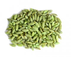 Normal Fennel Seeds required in Mahisagar, Gujarat - commodityonline