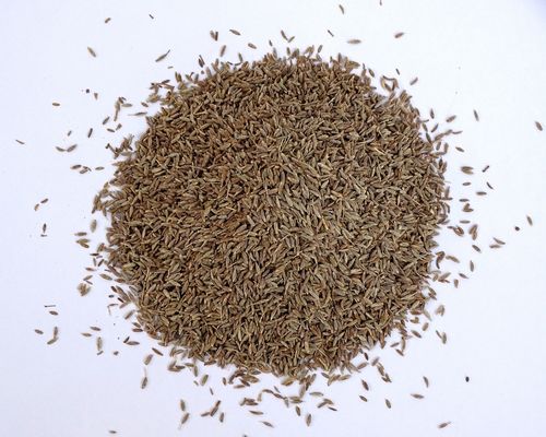 Brown Jeera required in Pali, Rajasthan - commodityonline