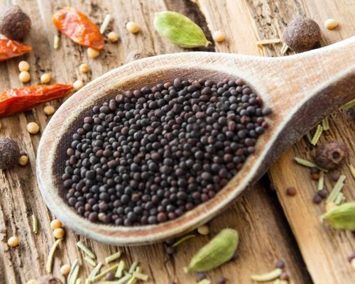 Black Mustard required in Siwan, Bihar - commodityonline